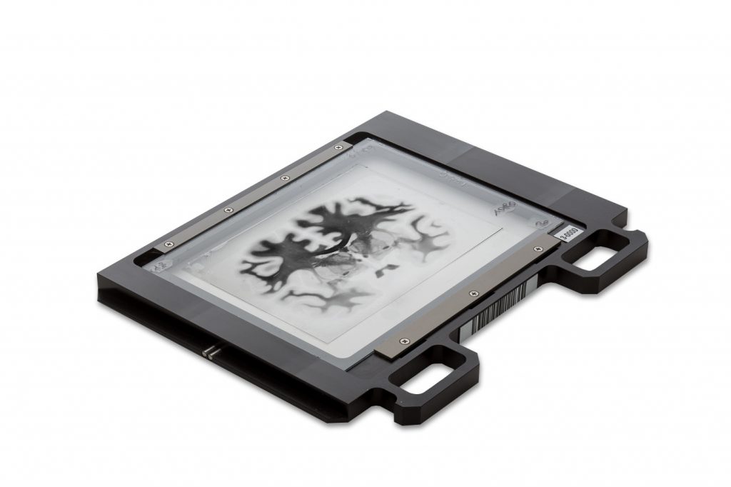 Whole-Mount Slide Imaging in Traumatic Brain Injury Research - Huron Technologies