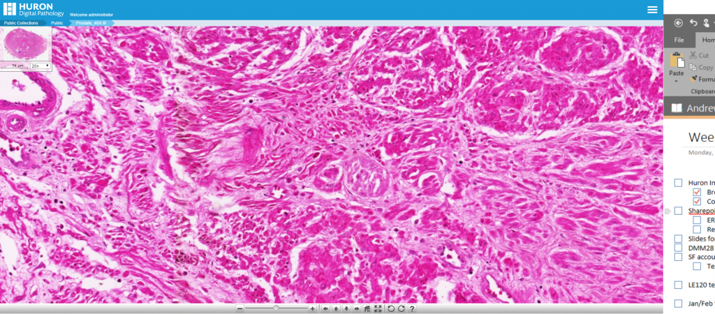 please work - Huron Digital Pathology