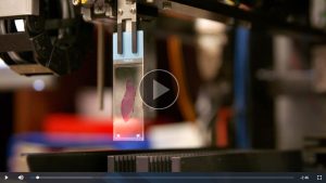 Homepage - Huron Digital Pathology